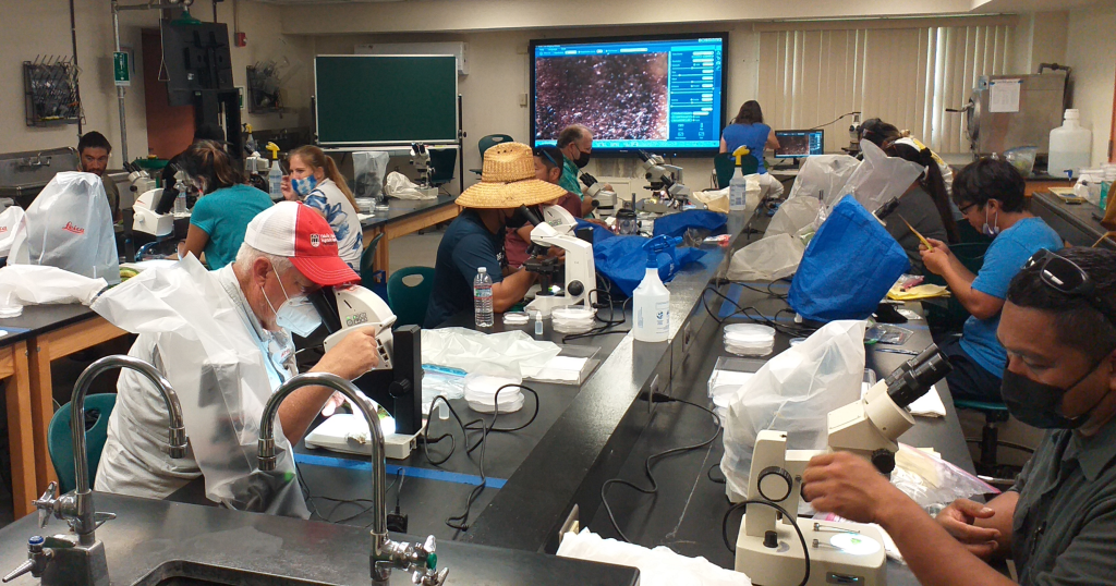 Guam Training Focuses on Foliar Fungal Diseases - Western IPM Center